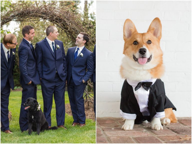 Tips for Including Your Pets During Your Engagement Session and Wedding